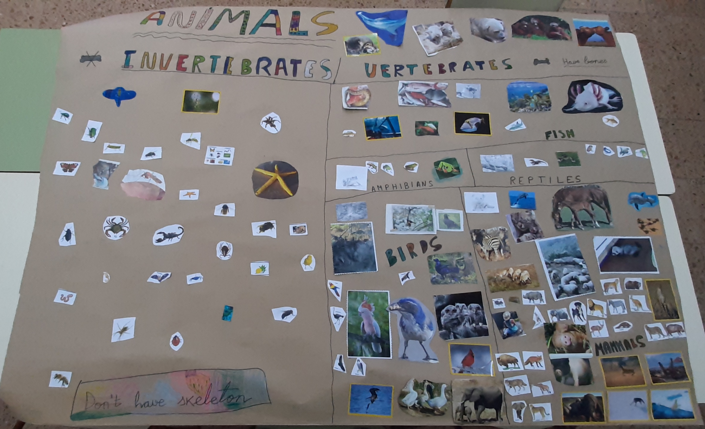 Mural de clase sobre animales. « ACTIVIDADES DEL CEO LUJÁN PÉREZ